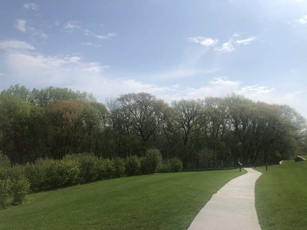 Questions for your life - Jennifer Goble Ph.D