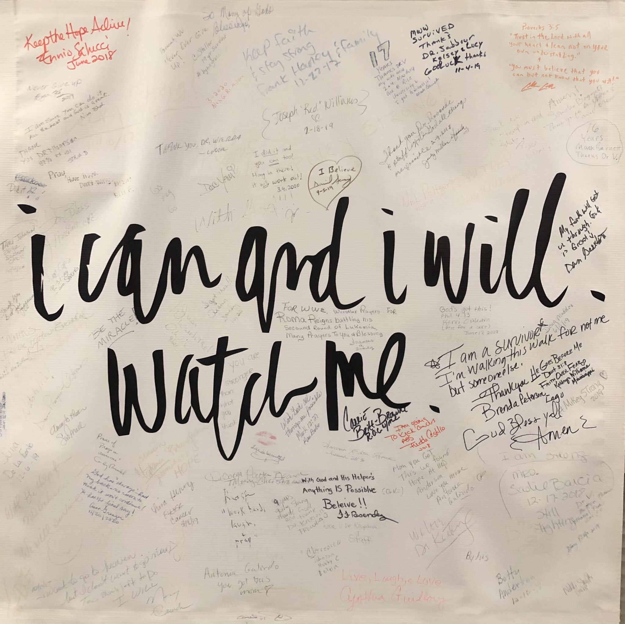 Who’s inspired you? - Jennifer Goble Ph.D