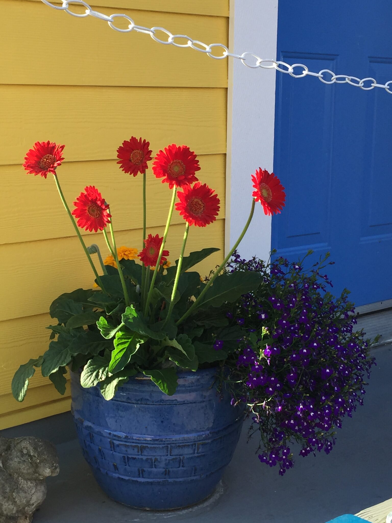 Plant the seed and watch it grow - Jennifer Goble Ph.D