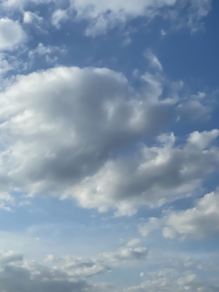 I’ll never get to see them again - Jennifer Goble Ph.D