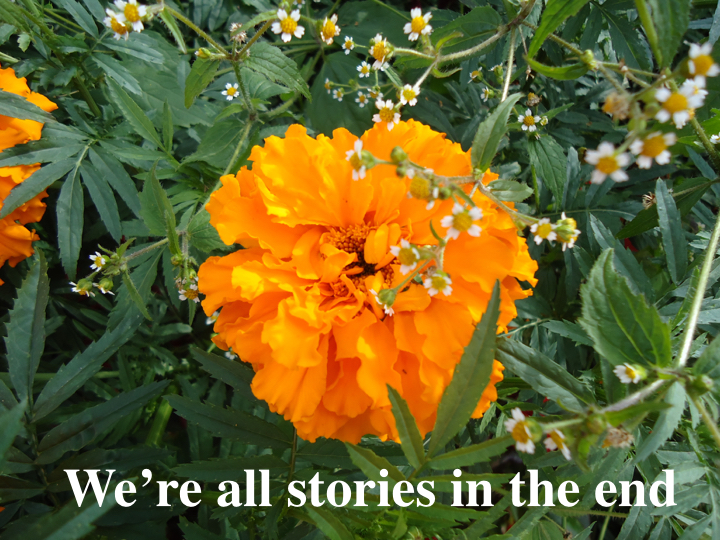 Tell your stories — write them — share them - Jennifer Goble Ph.D