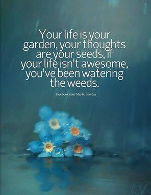 Life like garden - Jennifer Goble Ph.D