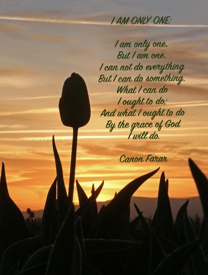 Carry the good feelings forward - Jennifer Goble Ph.D