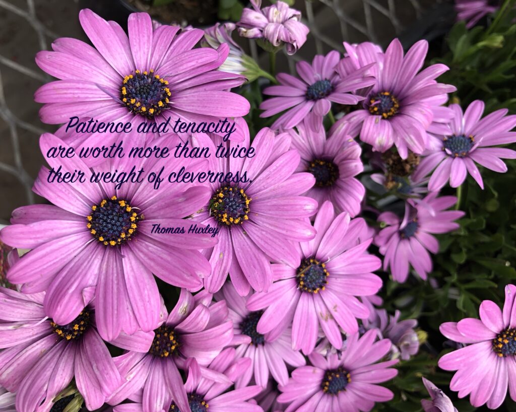 It’s about your staying power - Jennifer Goble Ph.D